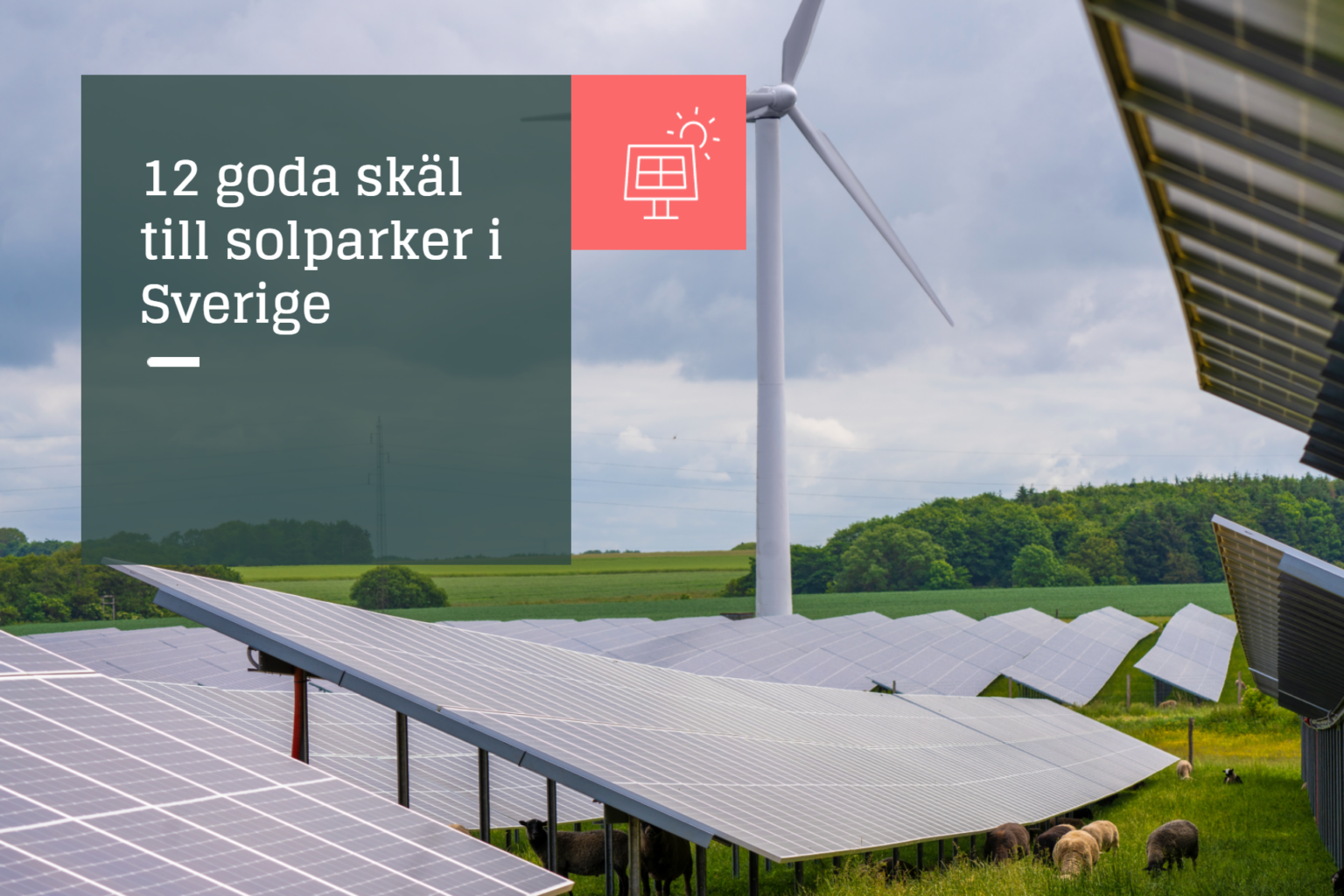 Från idé till färdig solpark | Bygg din solcellspark | European Energy